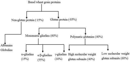 Implications of Blending Pulse and Wheat Flours on Rheology and Quality ...