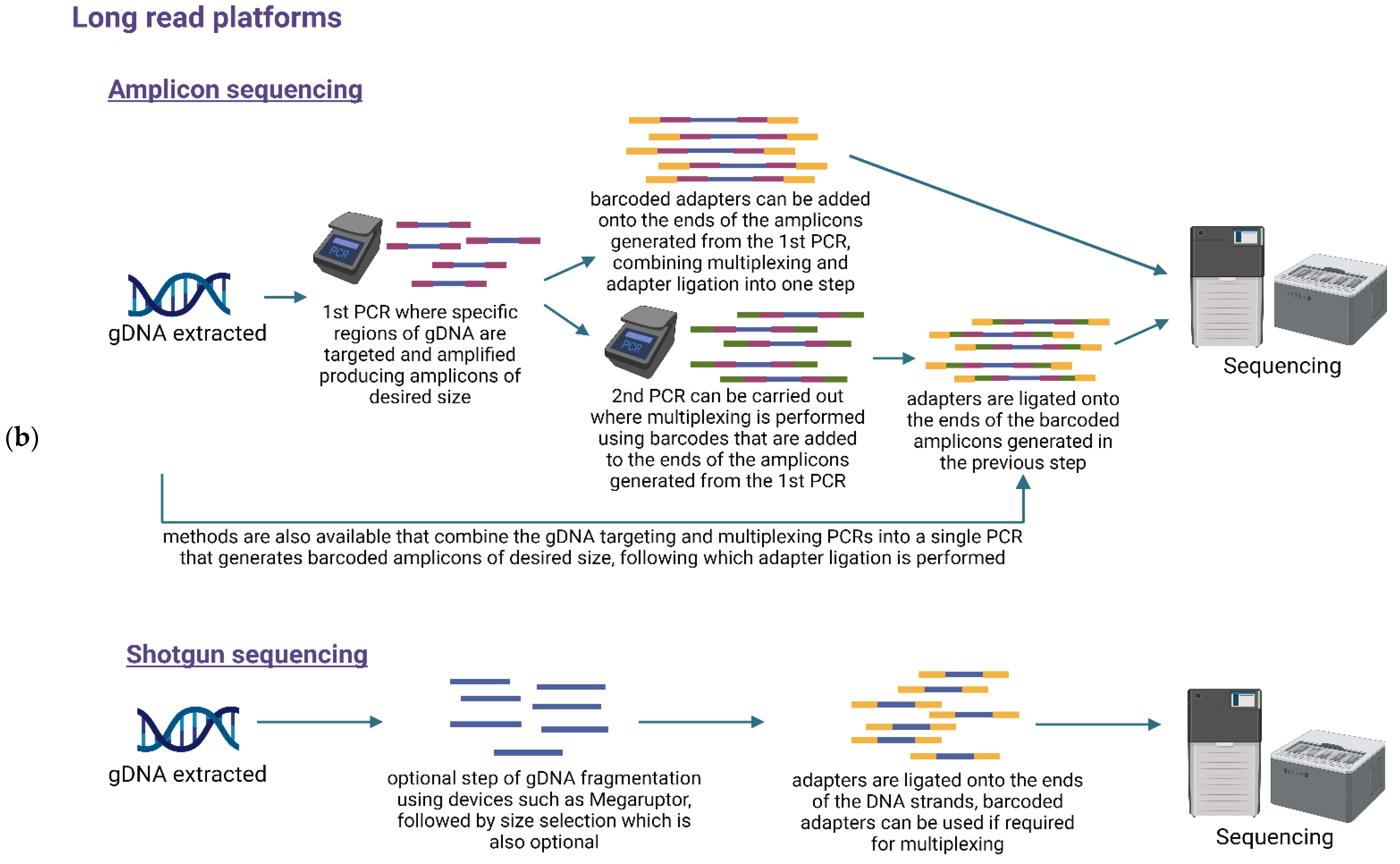 The Application of Metagenomics to Study Microbial Communities and ...
