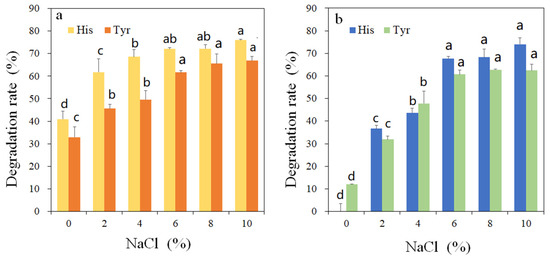 Heterologous Expression of the Lactobacillus sakei Multiple Copper ...