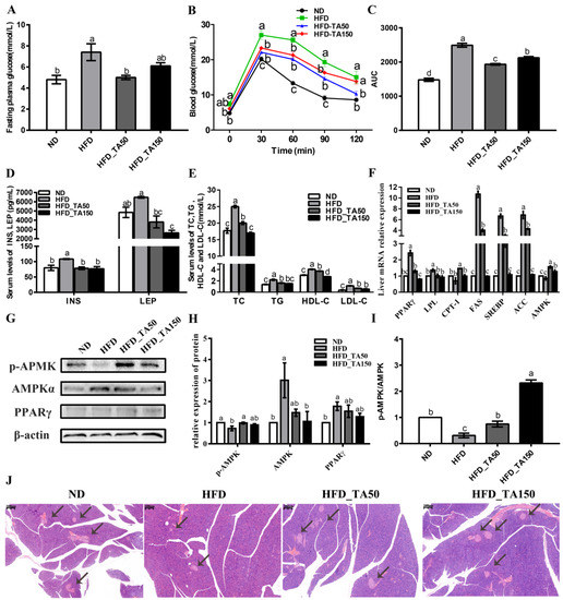 Effects of Dietary Tannic Acid on Obesity and Gut Microbiota in C57BL ...