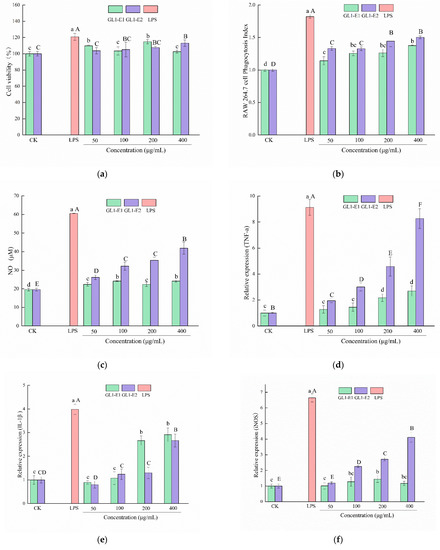 Characterization and Immunological Activity of Exopolysaccharide from ...
