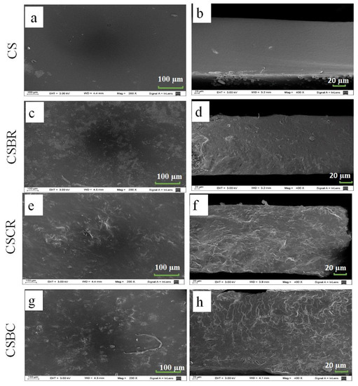 Cassava Starch Films with Anthocyanins and Betalains from ...