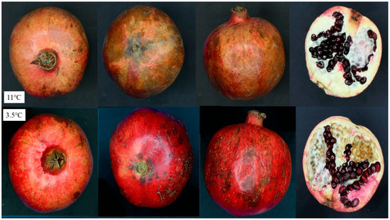 Foods | Free Full-Text | Pomegranate Husk Scald Browning during Storage ...
