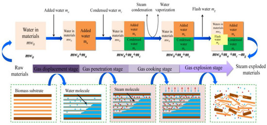 Principle and Application of Steam Explosion Technology in Modification ...