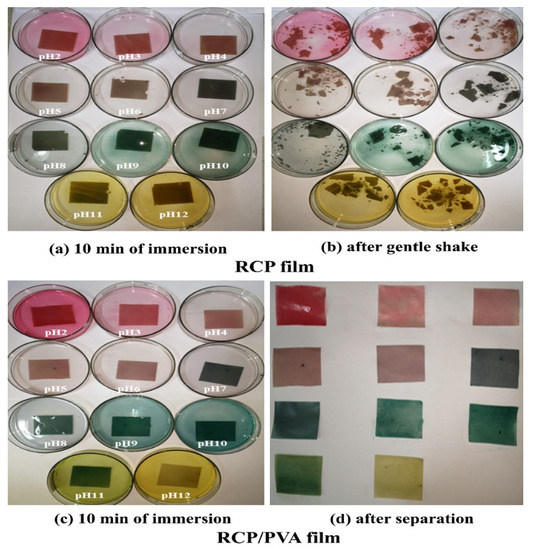A Facile Strategy for Development of pH-Sensing Indicator Films Based ...