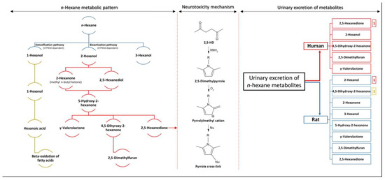 Towards Substitution of Hexane as Extraction Solvent of Food Products ...