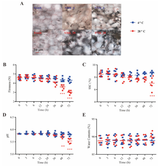 Systematic Study of the Sensory Quality, Metabolomics, and Microbial ...