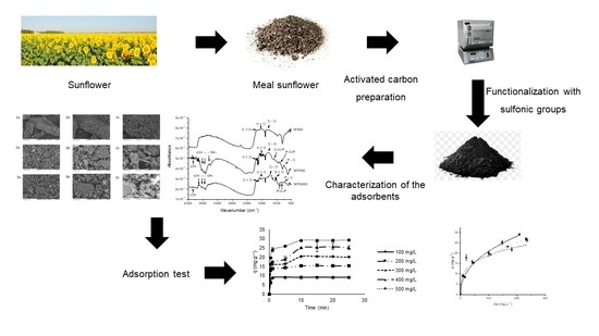 Foods | Free Full-Text | Adsorption of Phenylalanine from Aqueous Solutions Using Activated ...