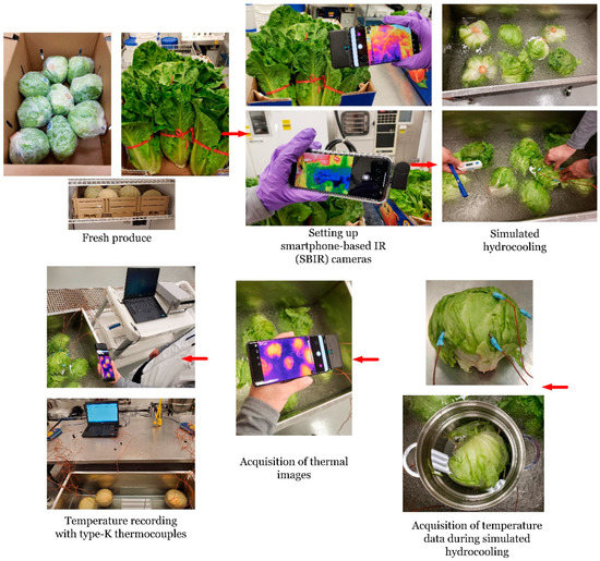 Evaluation of Low-Cost Smartphone-Based Infrared Cameras to Assess the ...