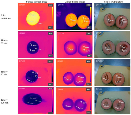 Evaluation of Low-Cost Smartphone-Based Infrared Cameras to Assess the ...