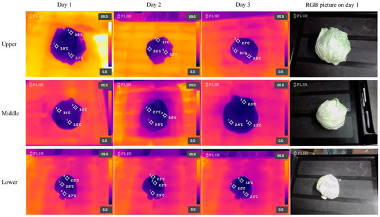 Evaluation of Low-Cost Smartphone-Based Infrared Cameras to Assess the ...