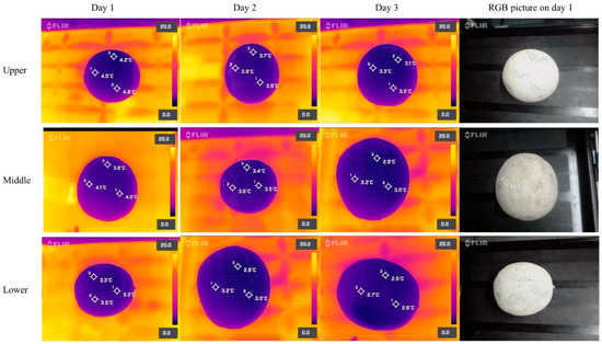 Evaluation of Low-Cost Smartphone-Based Infrared Cameras to Assess the ...