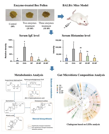 Foods | Free Full-Text | Allergenicity Alleviation of Bee Pollen by ...