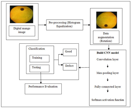 Computer Vision System for Mango Fruit Defect Detection Using Deep Convolutional Neural Network