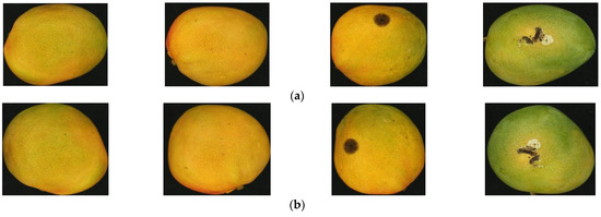 Computer Vision System for Mango Fruit Defect Detection Using Deep Convolutional Neural Network