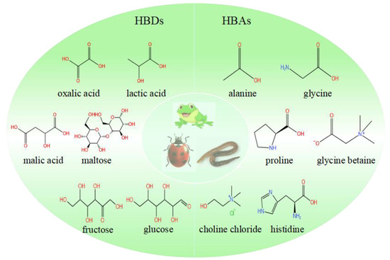 Research Progress on the Preparation and Action Mechanism of Natural ...