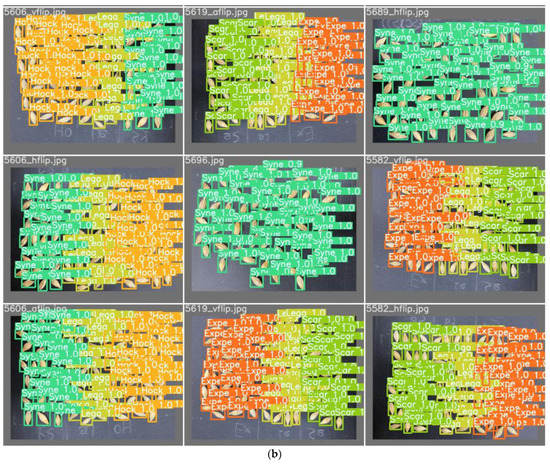Multi-Barley Seed Detection Using iPhone Images and YOLOv5 Model