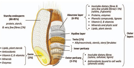 The Wheat Aleurone Layer: Optimisation of Its Benefits and Application ...