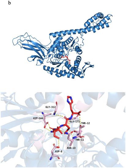 Molecular Insights into the Mode of Action of Antibacterial Peptides ...