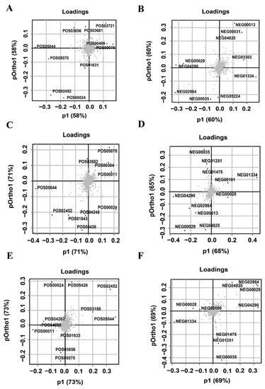 Metabolomics-Based Analysis of the Major Taste Contributors of Meat by ...