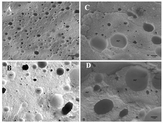 Foods | Free Full-Text | The Impact of Different Hydrocolloids on the ...