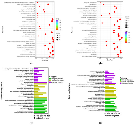 In Vitro Antioxidant Activity of Areca Nut Polyphenol Extracts on RAW264.7 Cells