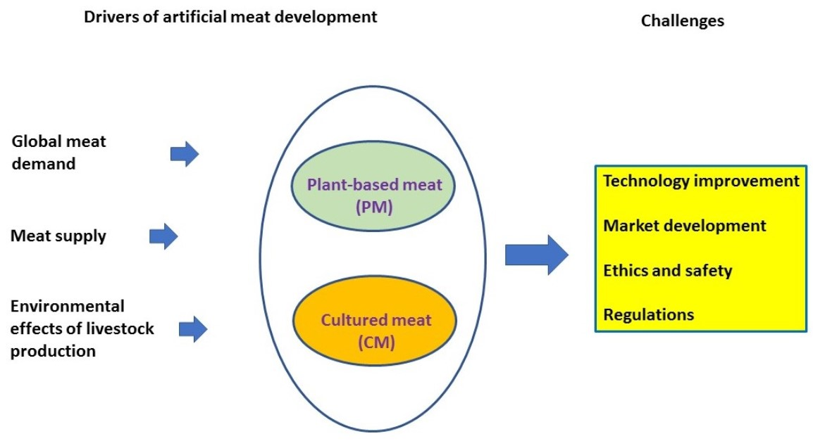 Foods | Free Full-Text | A Review of the Challenges Facing Global ...