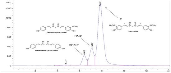 Impact of Green Extraction on Curcuminoid Content, Antioxidant ...