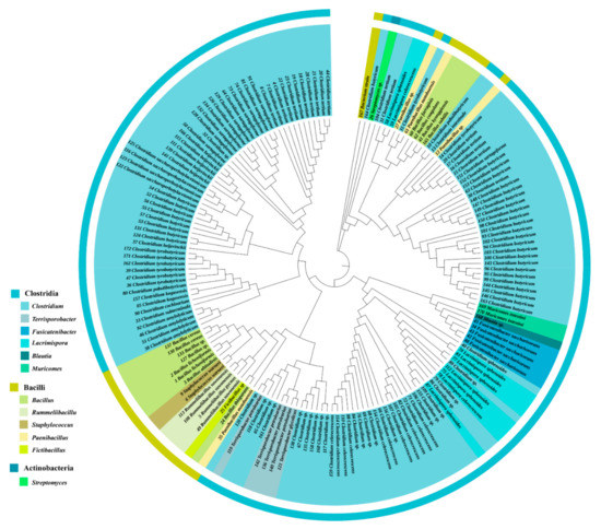 Foods | Free Full-Text | Chemotaxis of Clostridium Strains Isolated ...