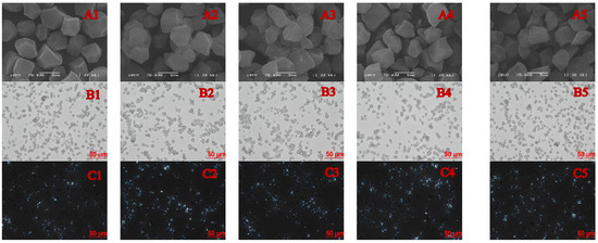 The Influence of Temperature Changes on the Rice Starch Structure and ...