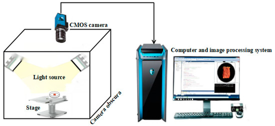 Research on the Authenticity of Mutton Based on Machine Vision Technology