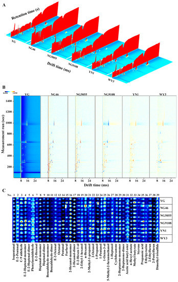 Mutual Relations between Texture and Aroma of Cooked Rice—A Pilot Study