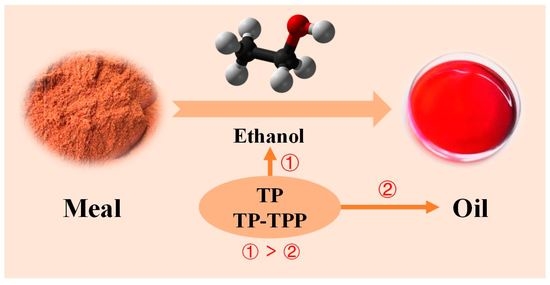 Foods | Free Full-Text | Effects of Tea Polyphenol and Its Combination ...