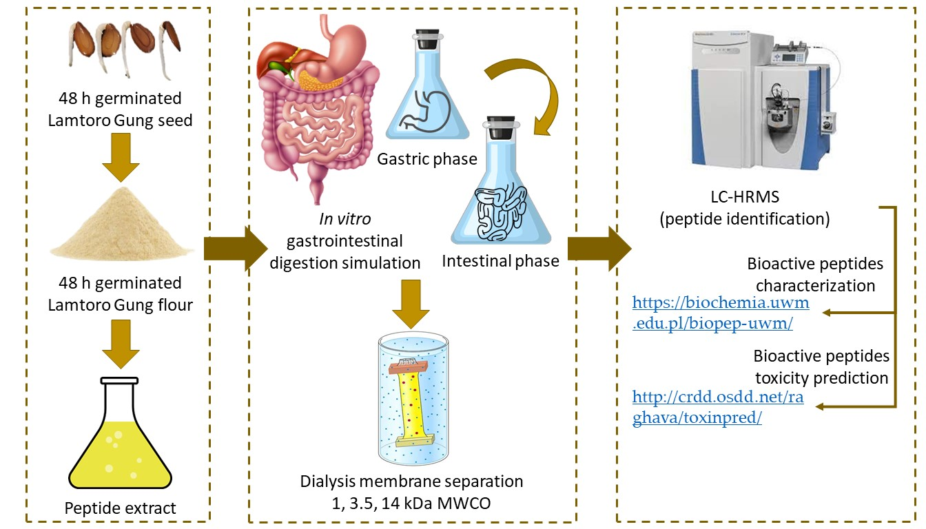 Foods | Free Full-Text | Impact of Gastrointestinal Digestion ...