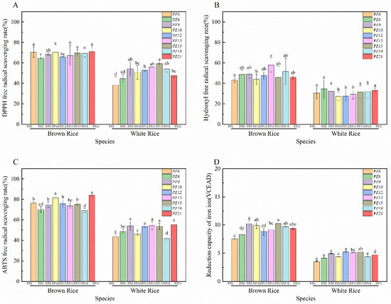 Polyphenol Composition and Antioxidant Activity of Japonica Rice ...