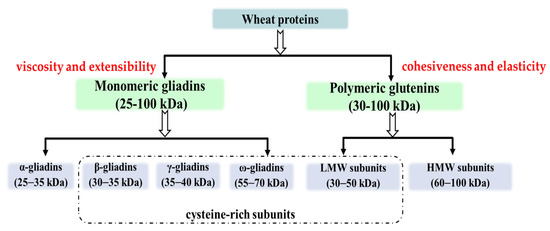 Recent Advances in the Study of Wheat Protein and Other Food Components ...