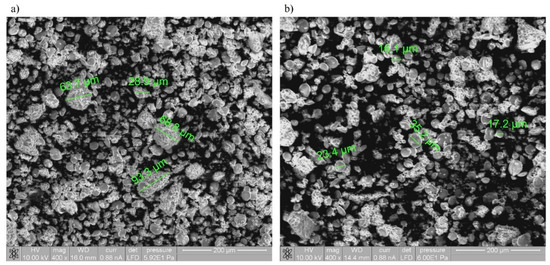 Effect of Green Food Processing Technology on the Enzyme Activity in ...