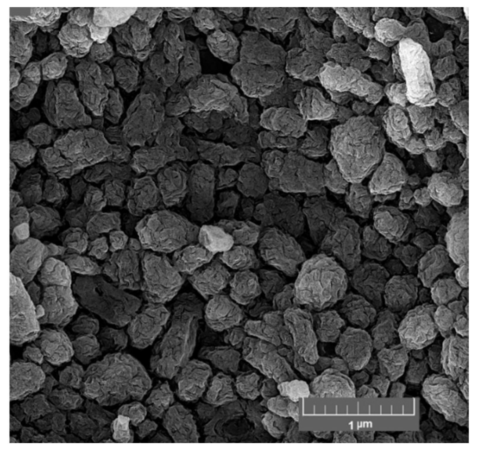 Physicochemical, Thermal, and Morphological Properties of Chitosan ...