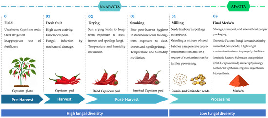 Occurrence of Aflatoxins and Ochratoxin A during Merkén Pepper Powder ...