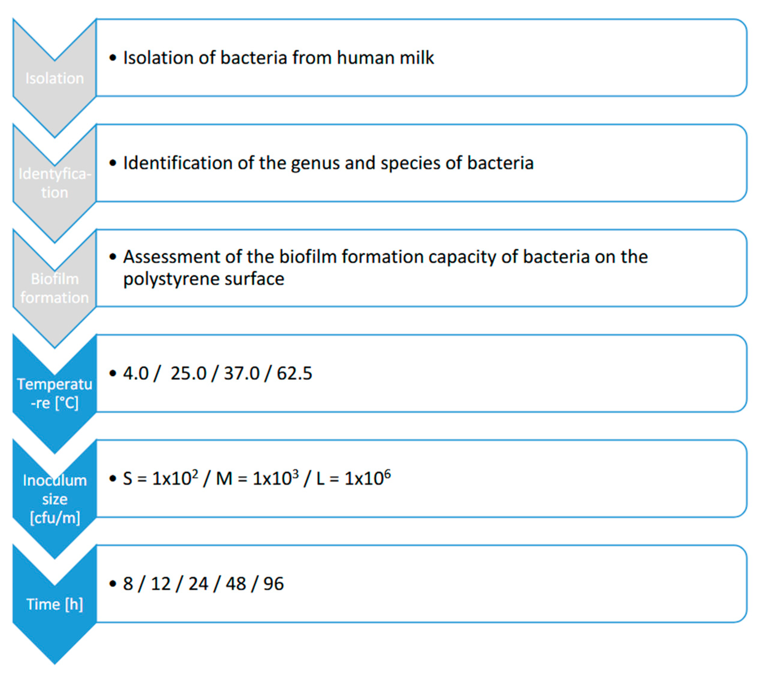 Factors Influencing Biofilm Formation by Salmonella enterica sv ...