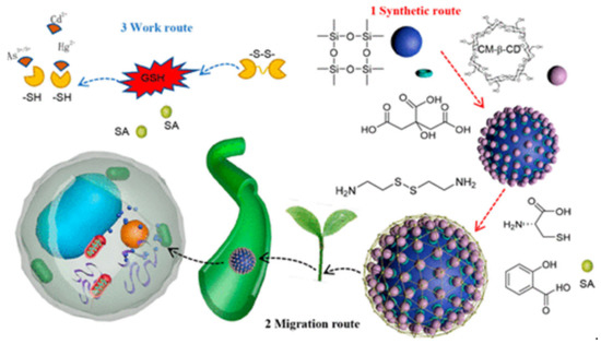 Cyclodextrin Inclusion Complexes and Their Application in Food Safety ...
