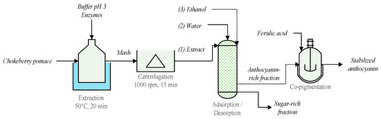 A Case Study for the Extraction, Purification, and Co-Pigmentation of ...
