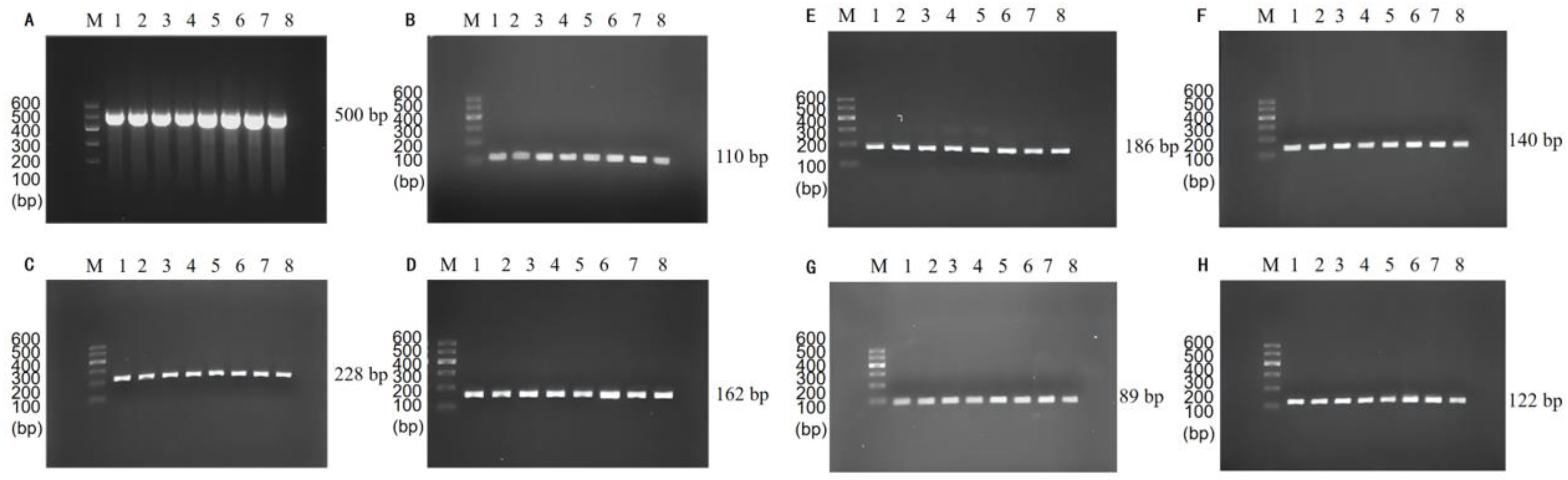 The Detection of Foodborne Pathogenic Bacteria in Seafood Using a Multiplex Polymerase Chain ...