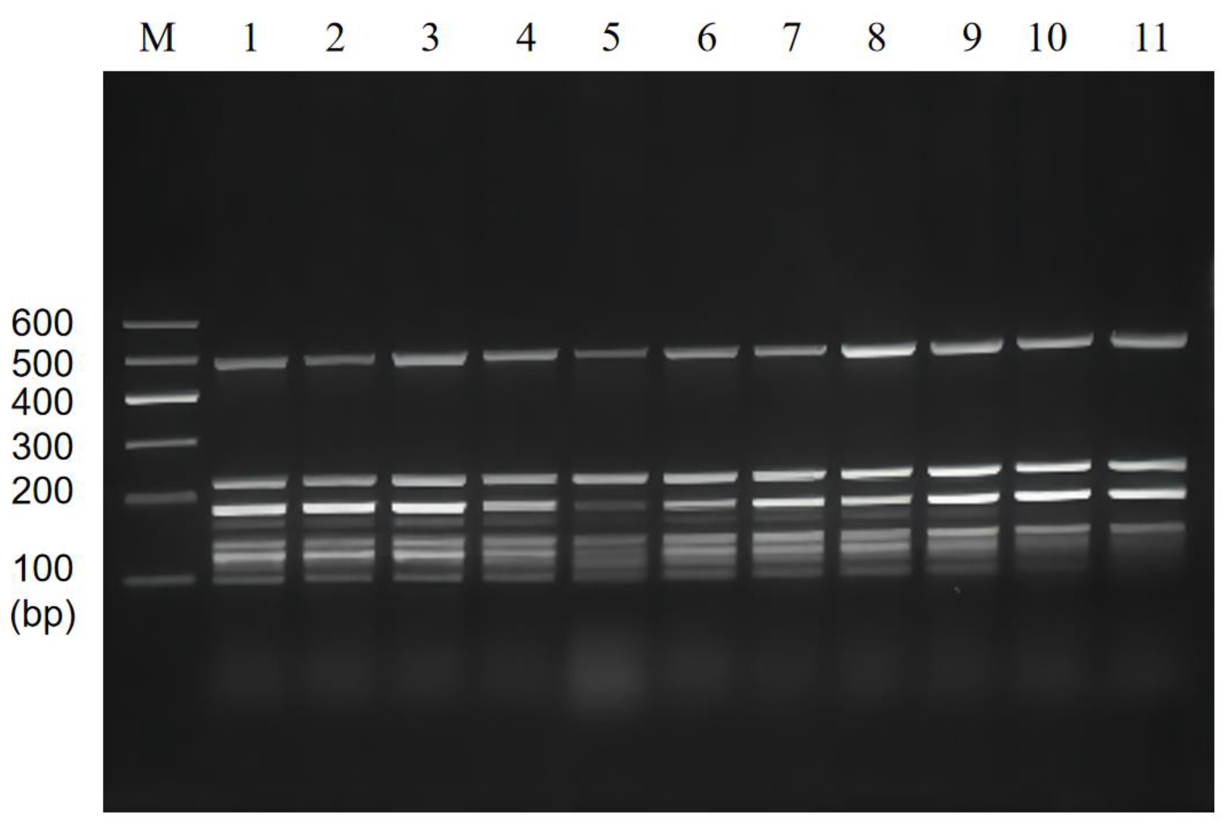 The Detection of Foodborne Pathogenic Bacteria in Seafood Using a ...