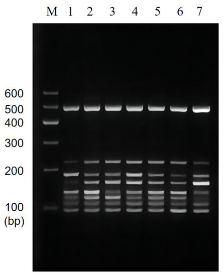 The Detection of Foodborne Pathogenic Bacteria in Seafood Using a ...
