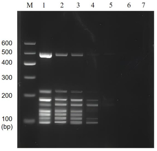The Detection of Foodborne Pathogenic Bacteria in Seafood Using a ...