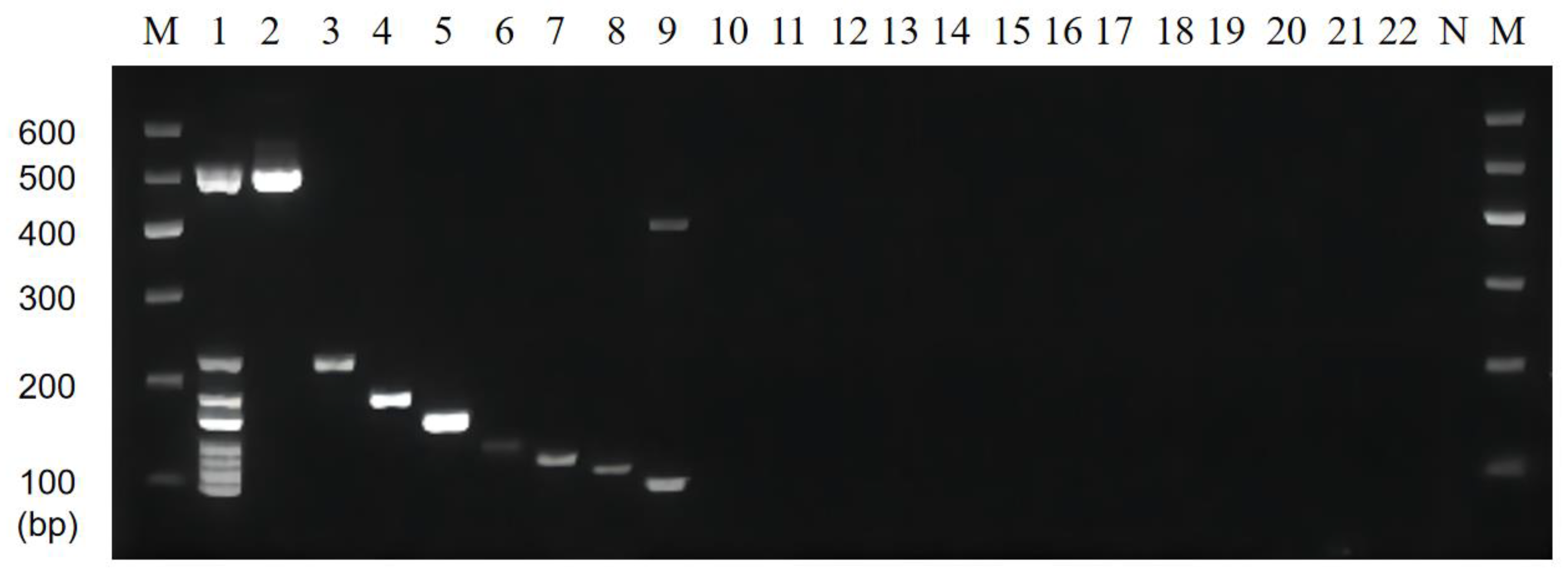 The Detection of Foodborne Pathogenic Bacteria in Seafood Using a Multiplex Polymerase Chain ...
