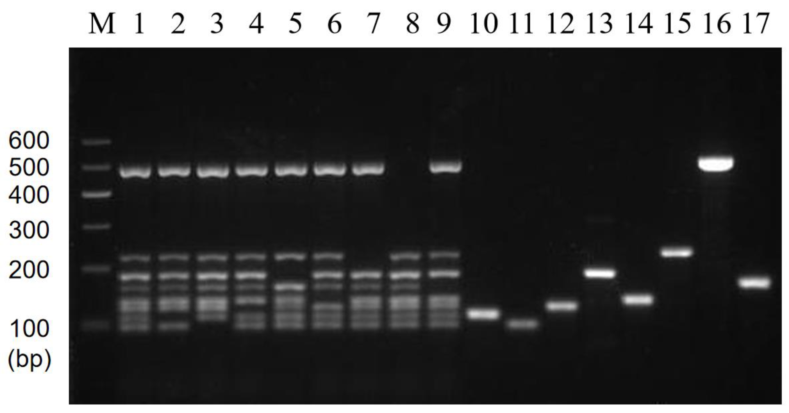 The Detection of Foodborne Pathogenic Bacteria in Seafood Using a ...