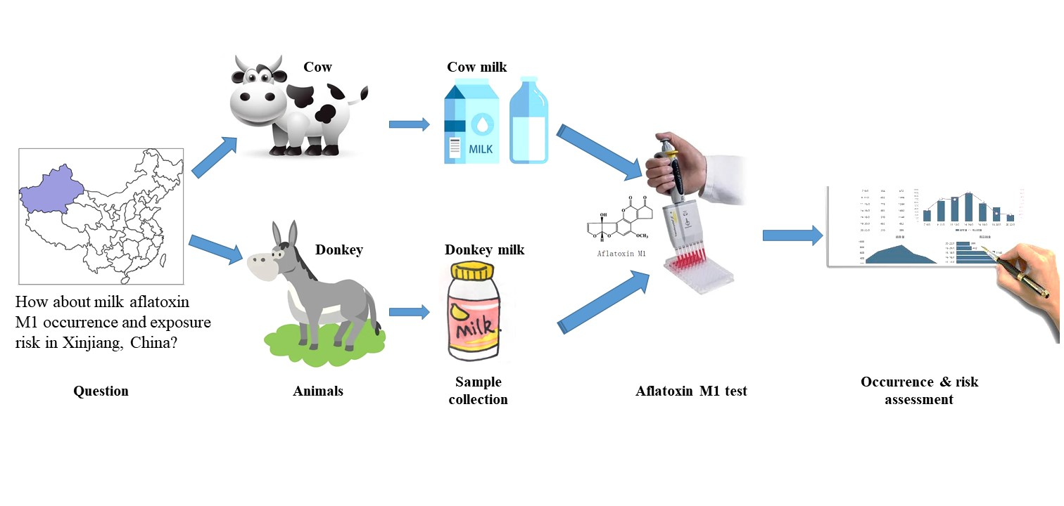 Foods Free Full Text Occurrence Of Aflatoxin M1 In Three Types Of