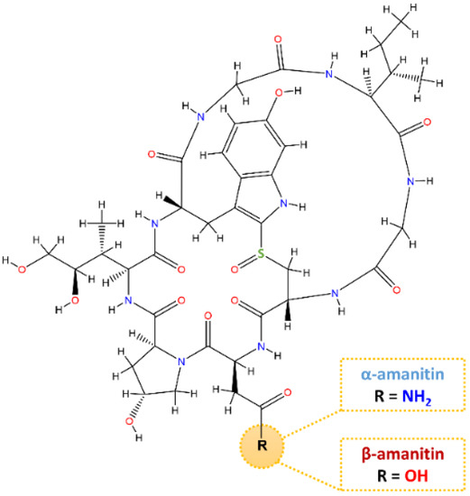 Amanitins in Wild Mushrooms: The Development of HPLC-UV-EC and HPLC-DAD ...